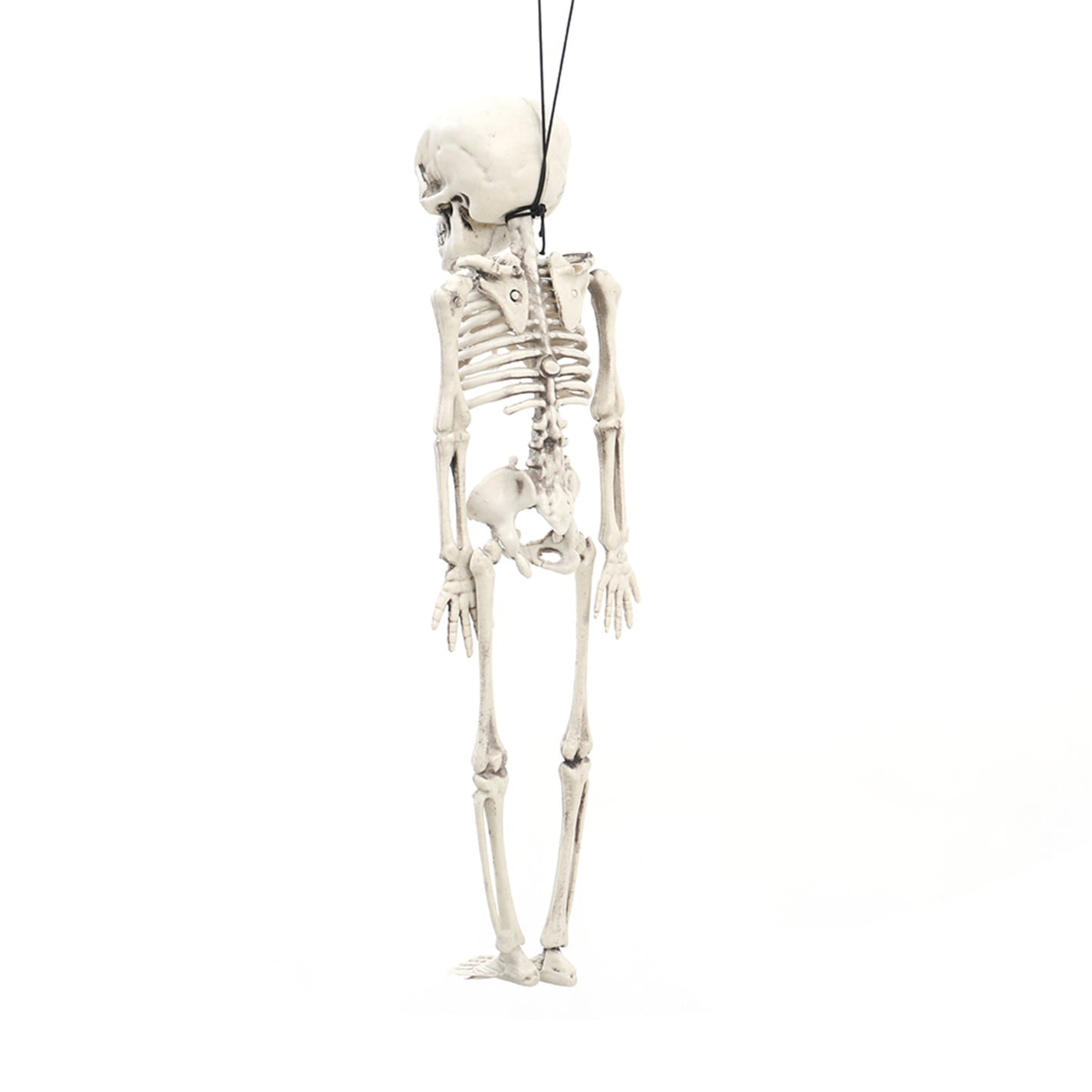 LIFE IDEAS | Realistic Posable Hanging Skeleton for Halloween ...
