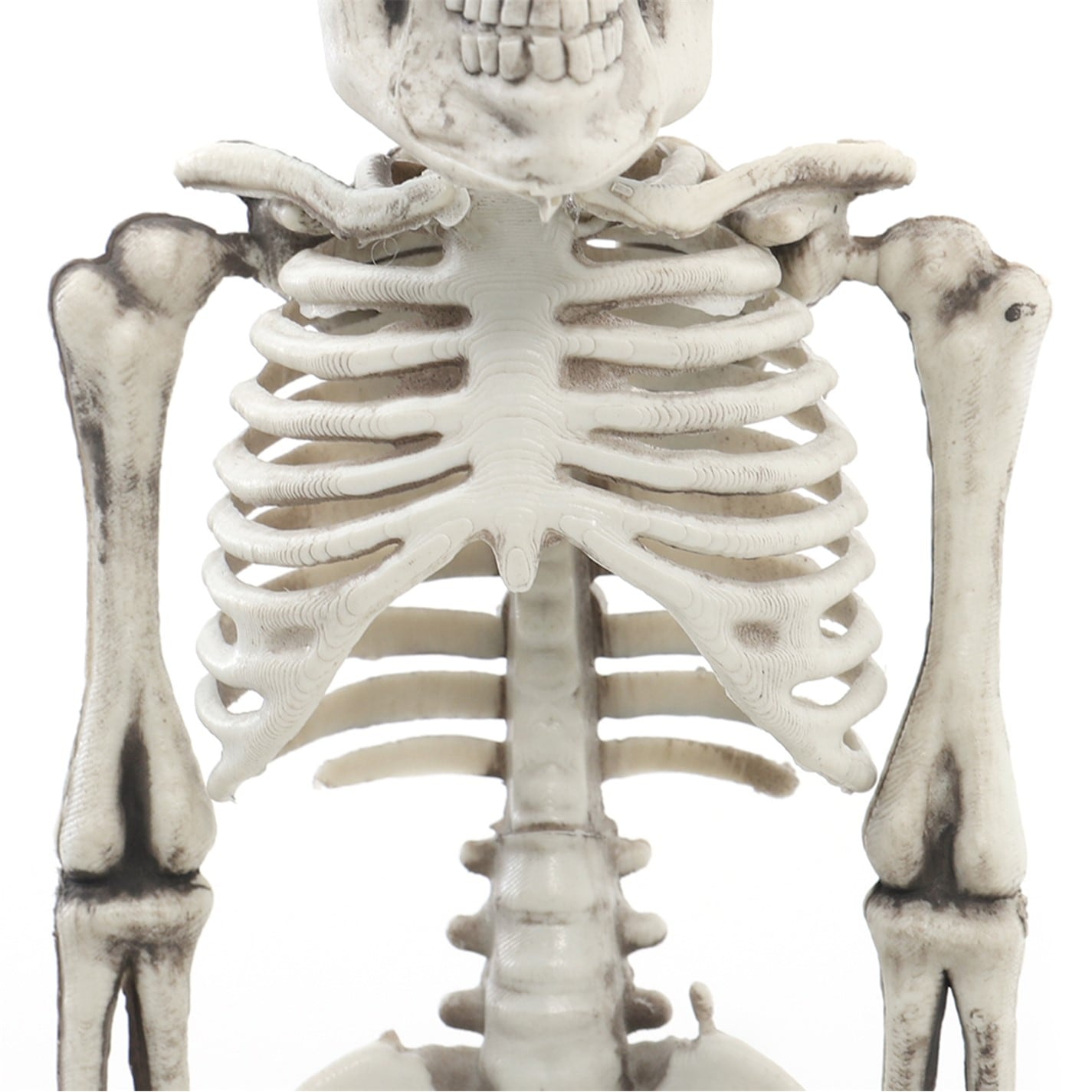 LIFE IDEAS | Realistic Posable Hanging Skeleton for Halloween ...