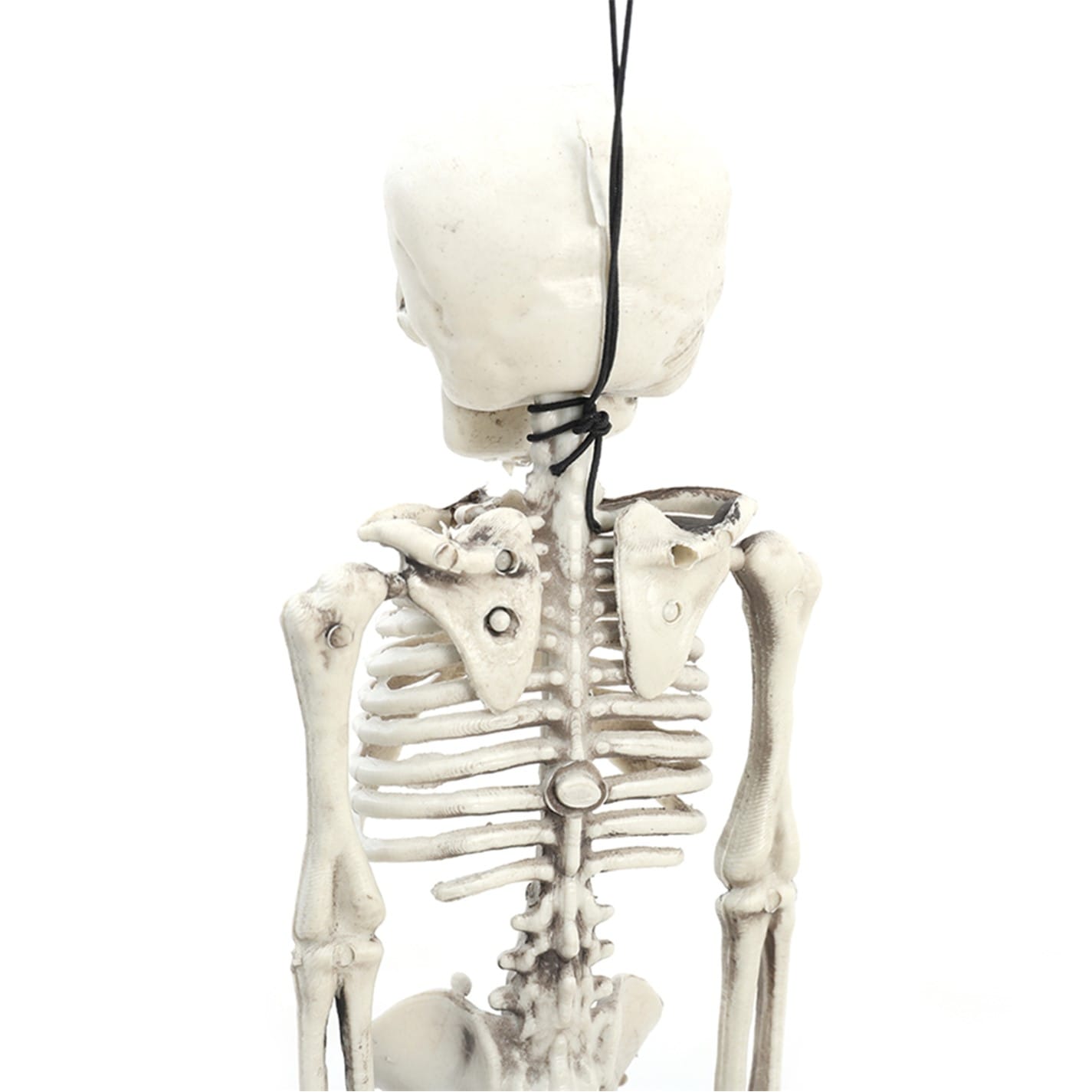 LIFE IDEAS | Realistic Posable Hanging Skeleton for Halloween ...