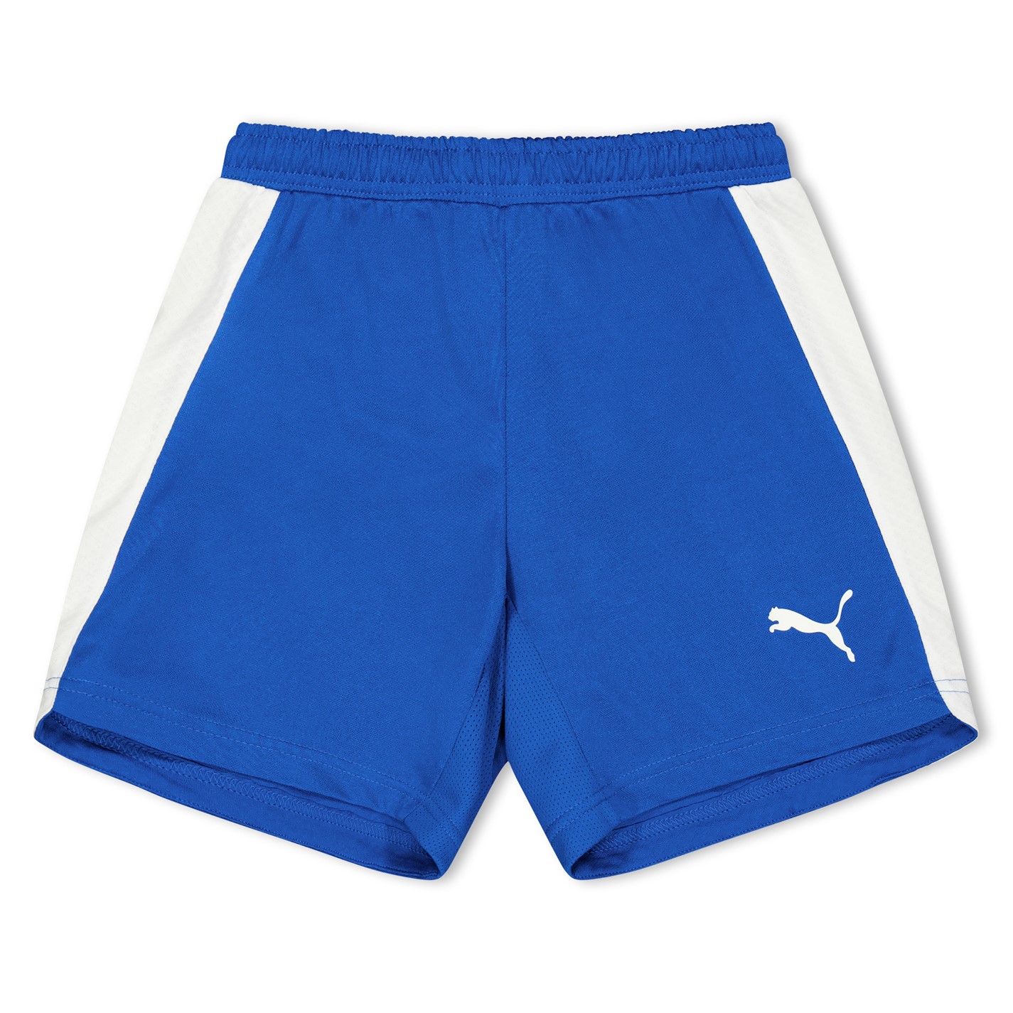 Puma | Boy (Fb) Evospeed Indoor Shorts Juniors | Performance Shorts ...