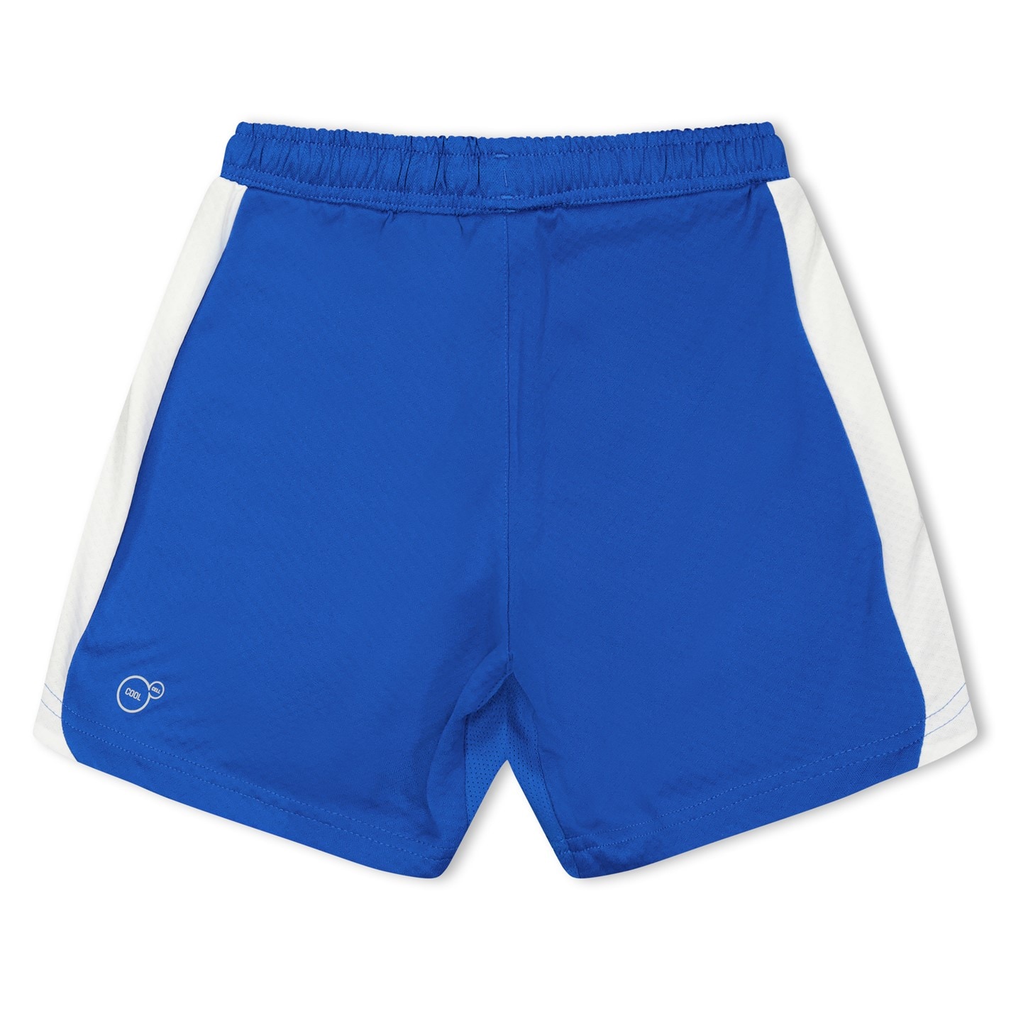Puma | Boy (Fb) Evospeed Indoor Shorts Juniors | Performance Shorts ...