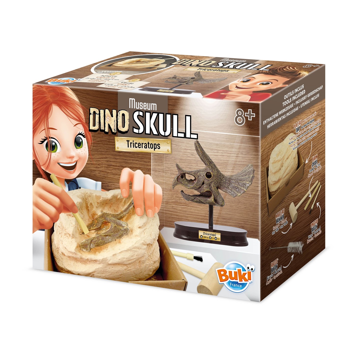 Buki France | Buki Triceratops Museum Skull | Triceratops ...