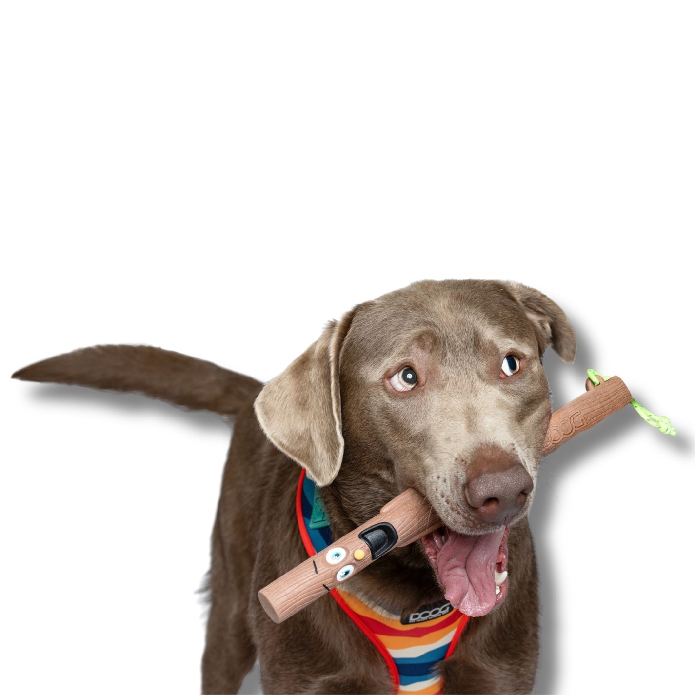 DOOG | Mr Stick Woody Fetch stick for Dogs | (Stick01)Brown ...