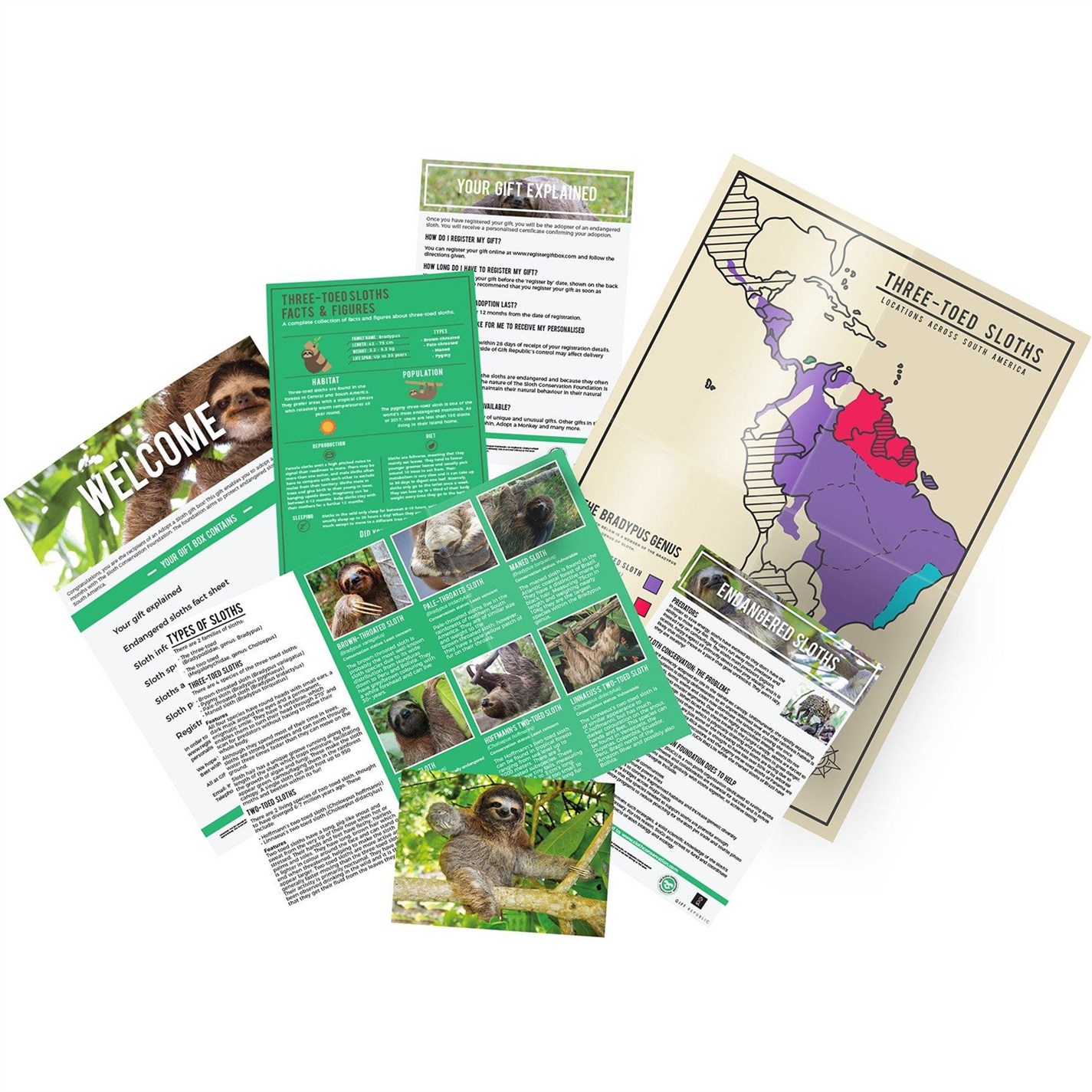 Gift Republic | Adopt a sloth | None | SportsDirect.com